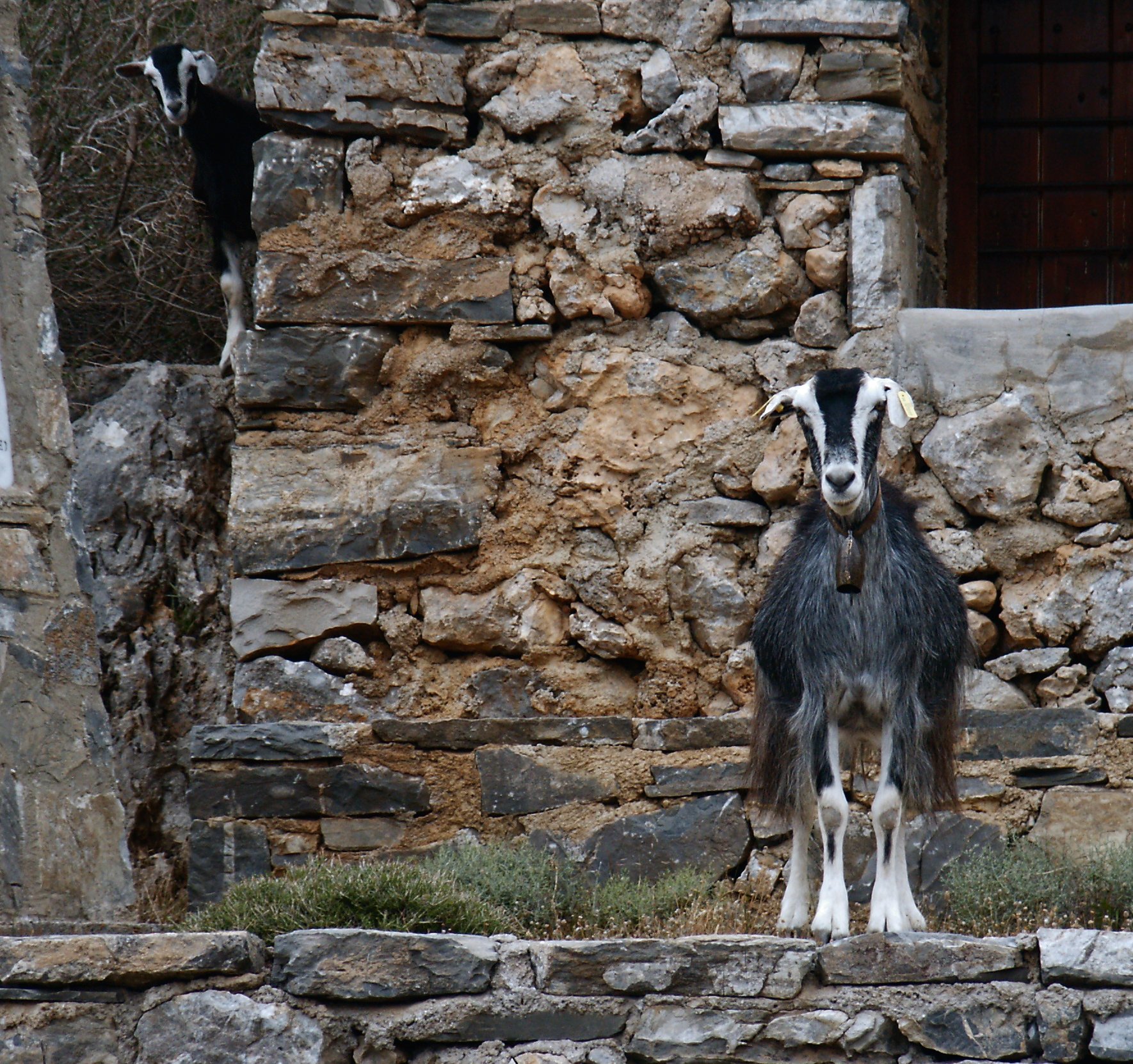 Bergkloven Kreta – ReisnaarGriekenland.nl