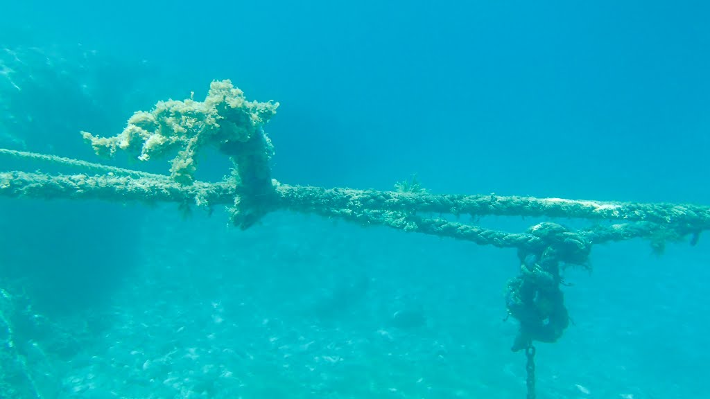 Samos, duiken en snorkelen – ReisnaarGriekenland.nl